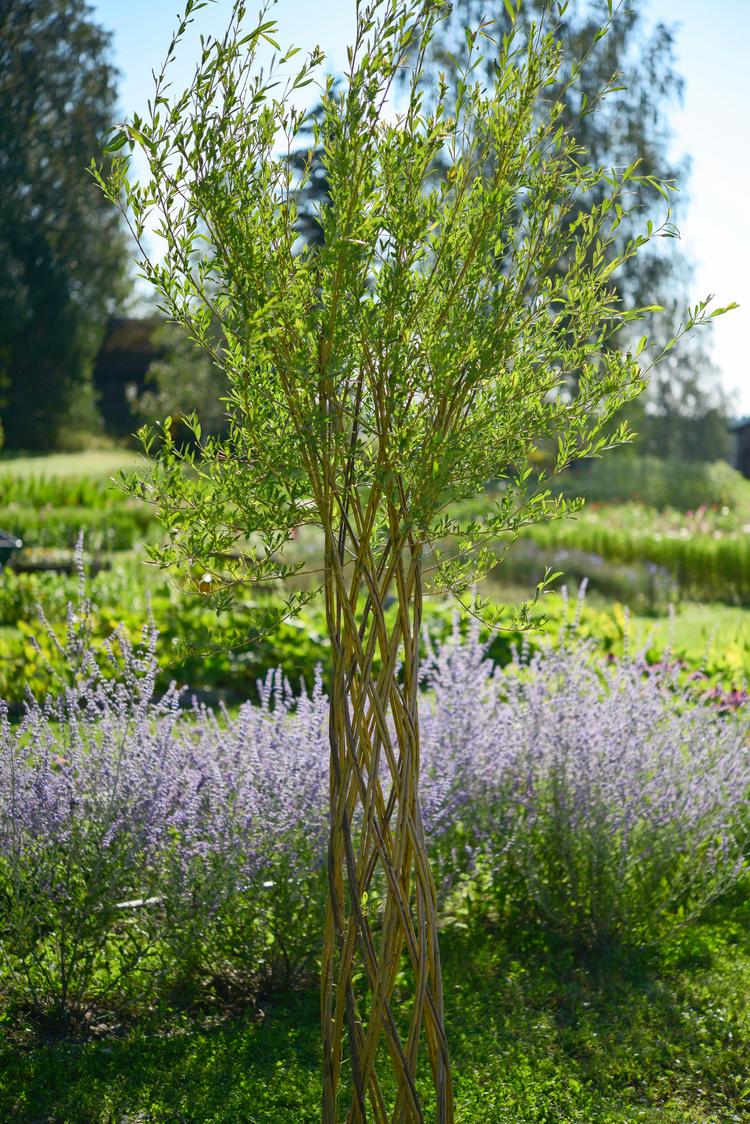 Pajutyöt – edullisia, kauniita ja ekologisia | Viherpiha