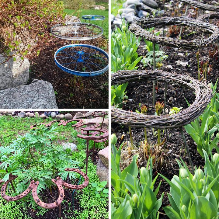 Marjapensaat – vinkit hoitoon ja herkulliseen satoon | Meillä kotona