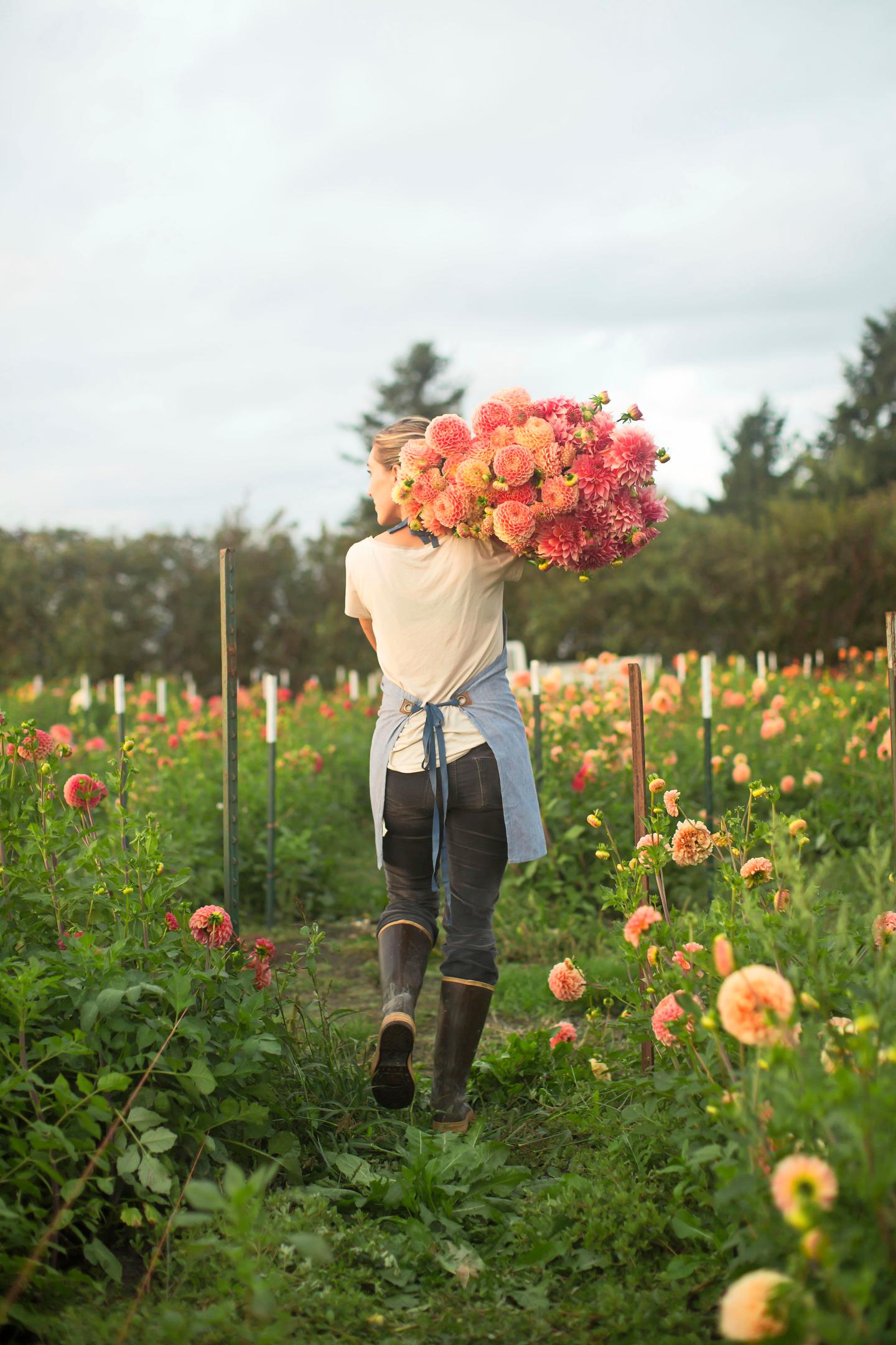 Floret Flower Farm: Erin Benzakeinin tarina | Meillä kotona