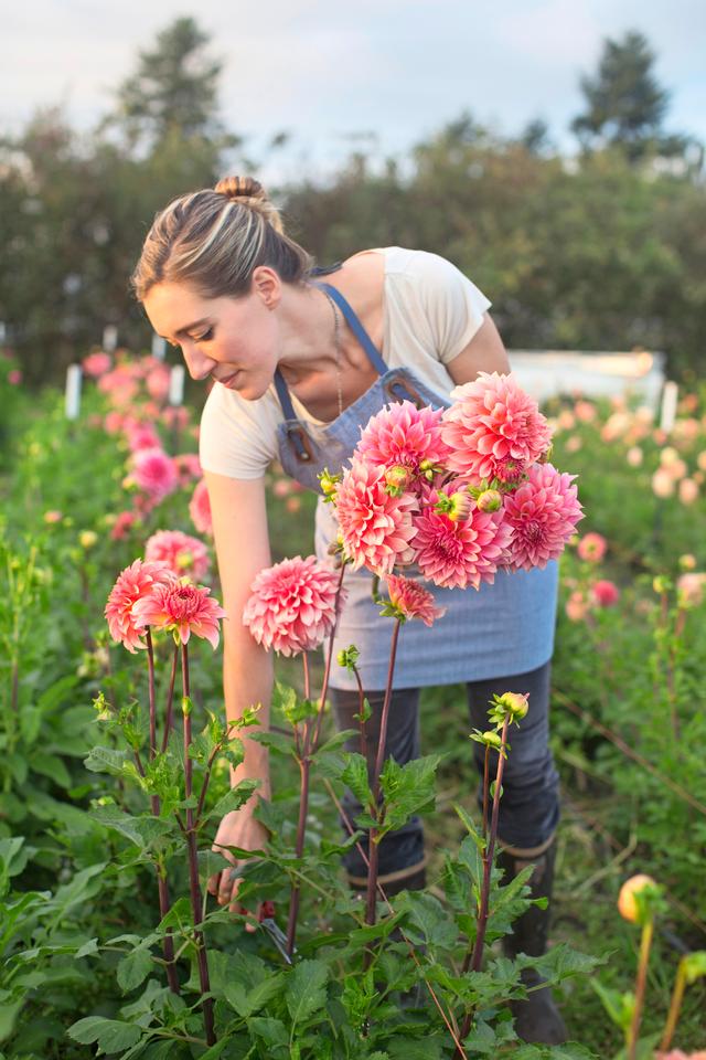 Floret Flower Farm: Erin Benzakeinin tarina | Viherpiha