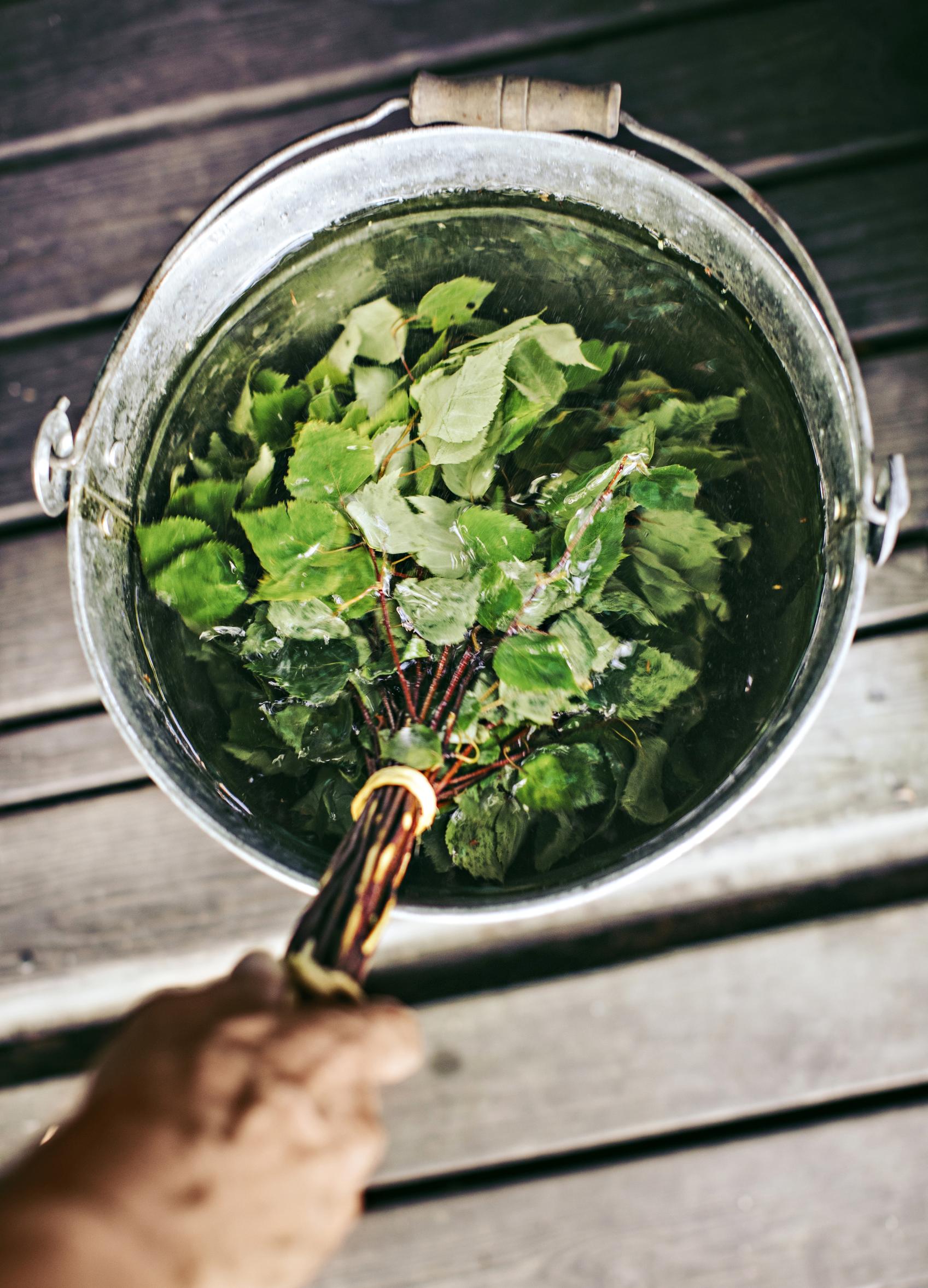 Vihta – sitomisohje | Meidän Mökki
