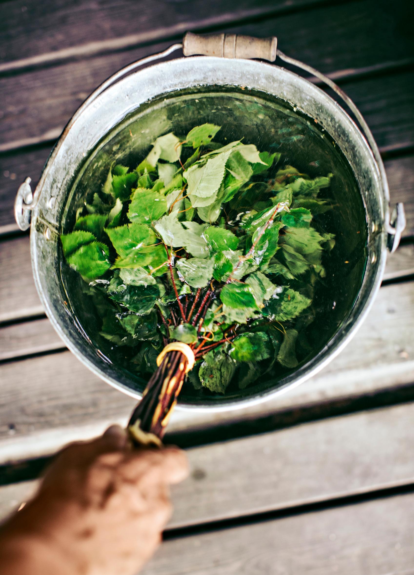 Vihta – sitomisohje | Meidän Mökki