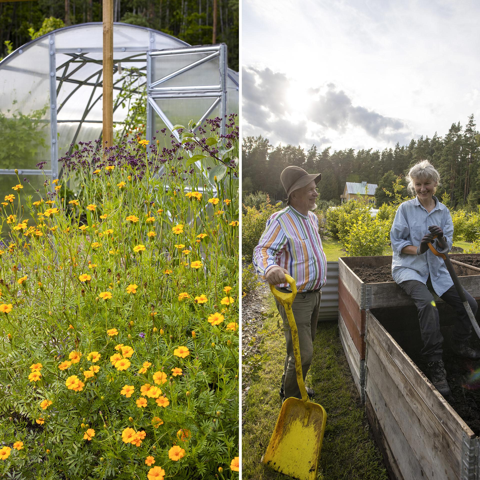 Kasvimaa – parhaat vinkit herkulliseen satoon | Kotona