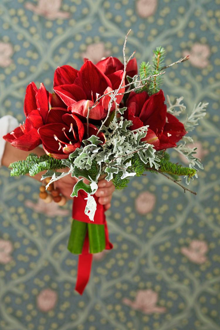 Joulukukkien hoito: näin saat ne kestämään | Meillä kotona