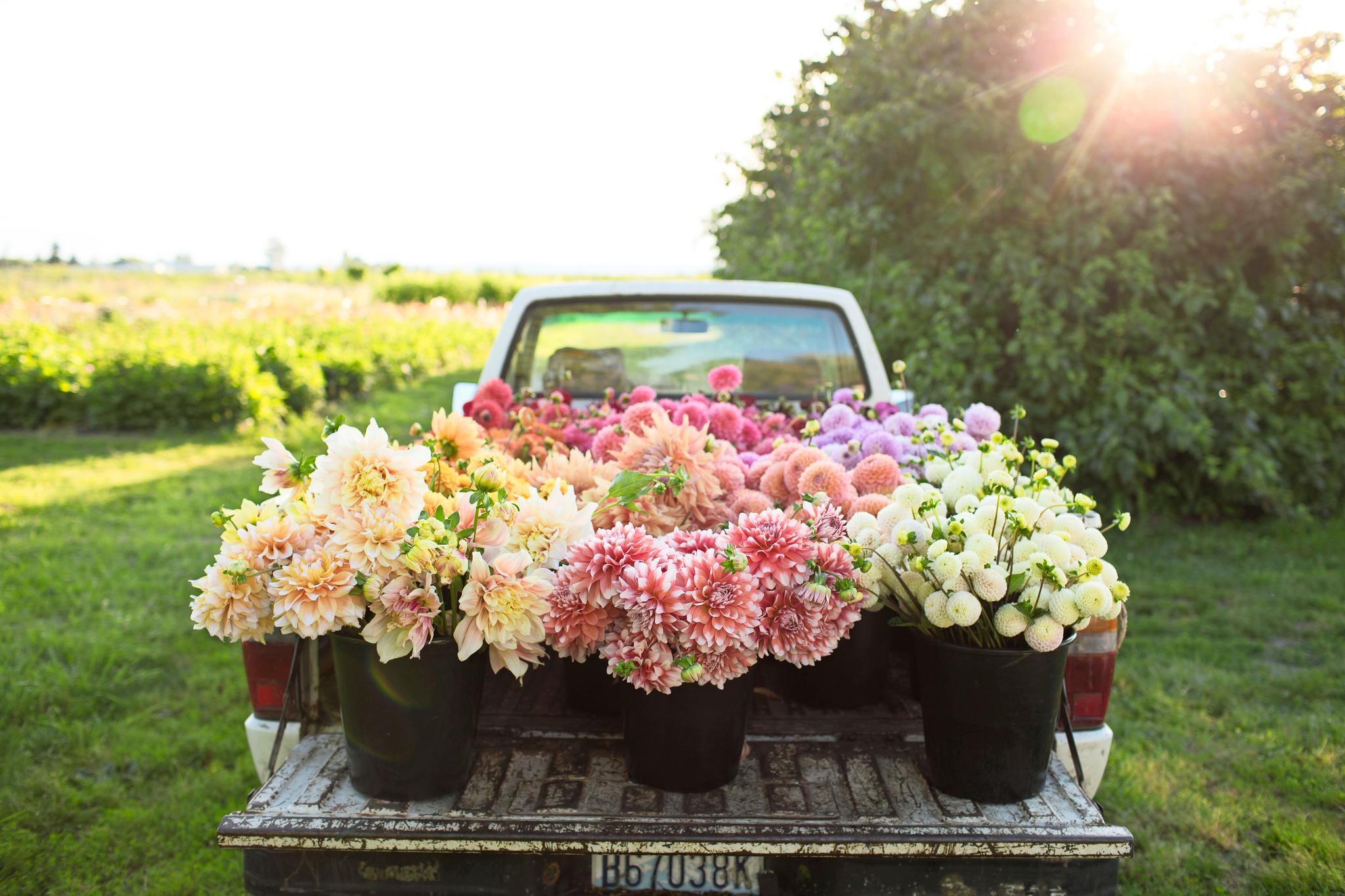 Floret Flower Farm: Erin Benzakeinin tarina | Viherpiha
