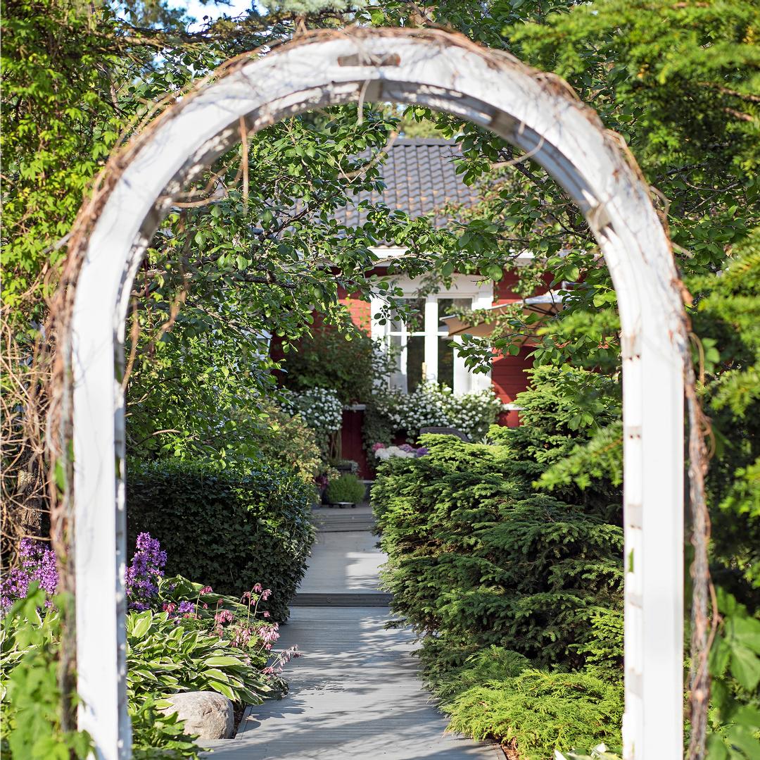 Ritva Finnilän puutarha | Meillä kotona