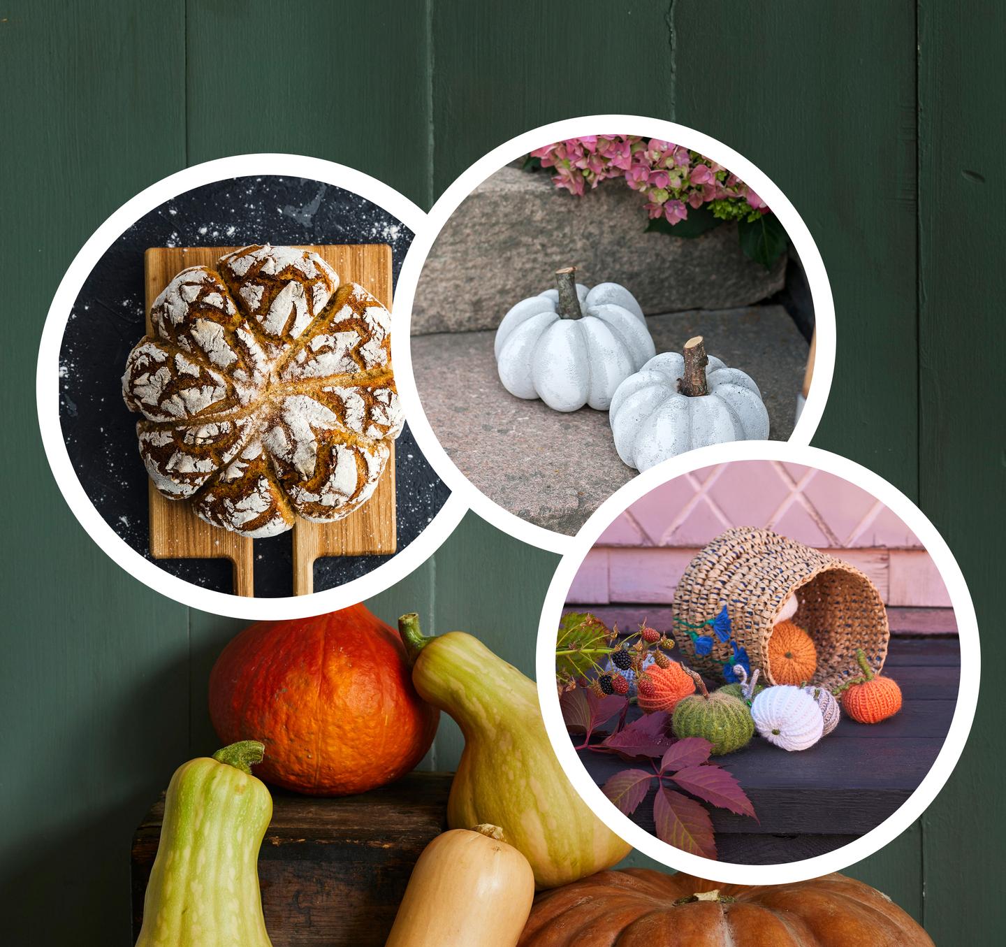 3 × erilainen halloween-kurpitsa | Meillä kotona