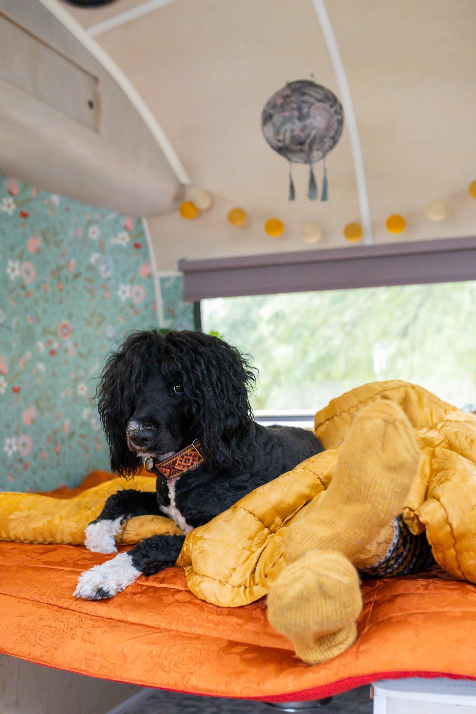 60-luvun asuntovaunu kesämökkinä | Meidän Mökki