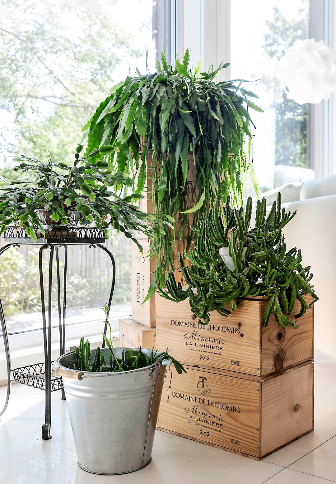 Veistoksellinen omakotitalo Hangossa | Avotakka