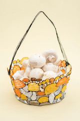 Mari Salonen | Meillä kotona