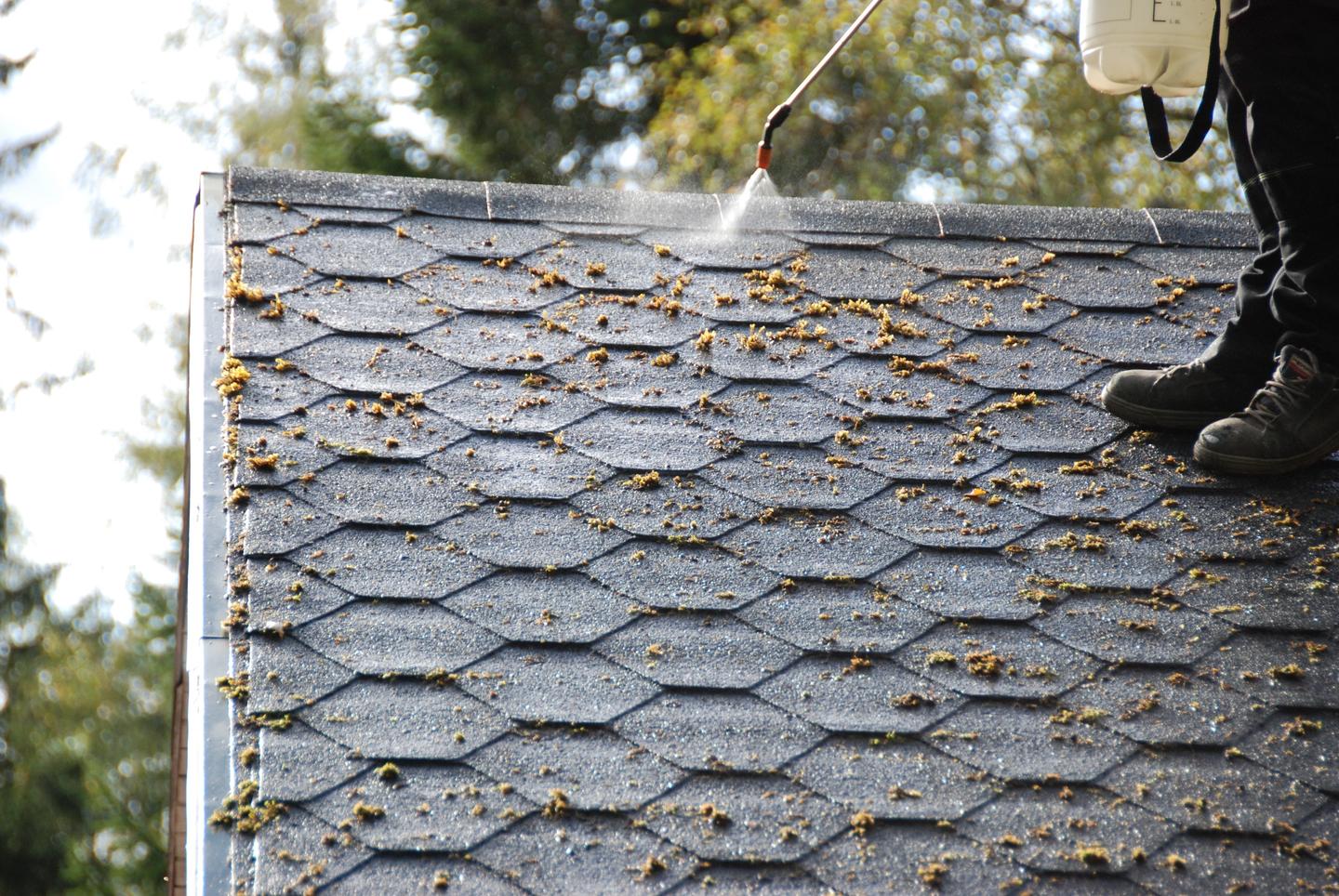 Sammaleen poisto katolta | Meillä kotona