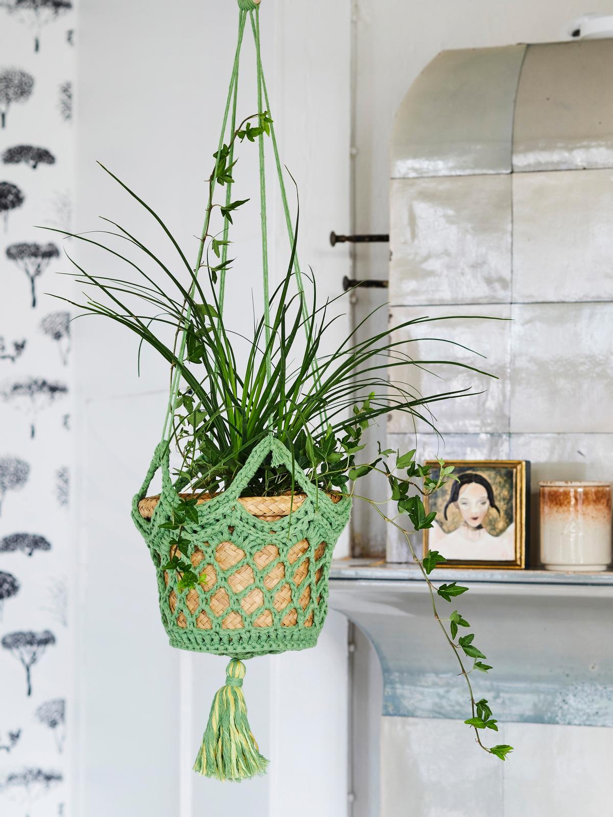 Makramee-amppeli – katso ohje! | Kotivinkki