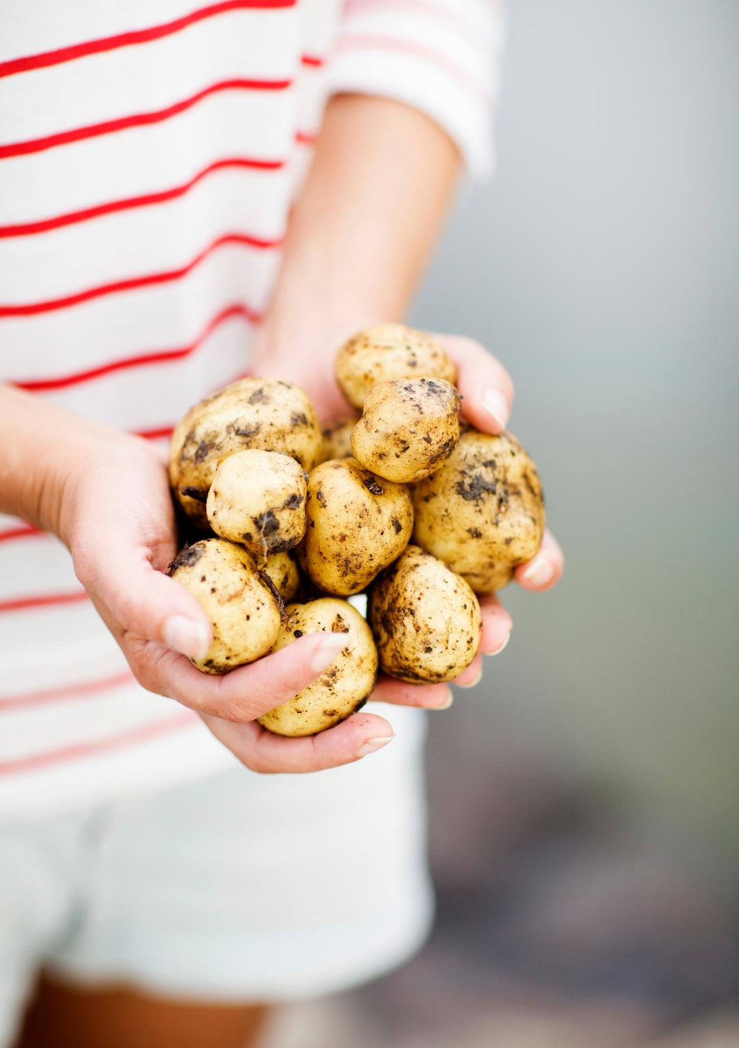 Uudet perunat – katso resepti! | Maku