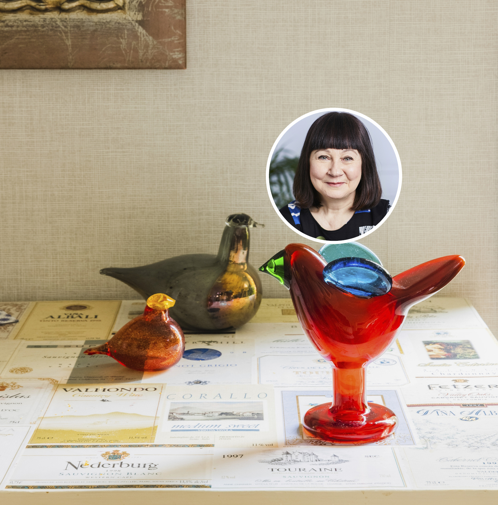 Kirsin löytö: Oiva Toikan linnut | Meillä kotona