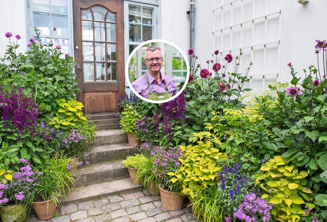 Claus Dalbyn ruukkupuutarha | Meillä kotona