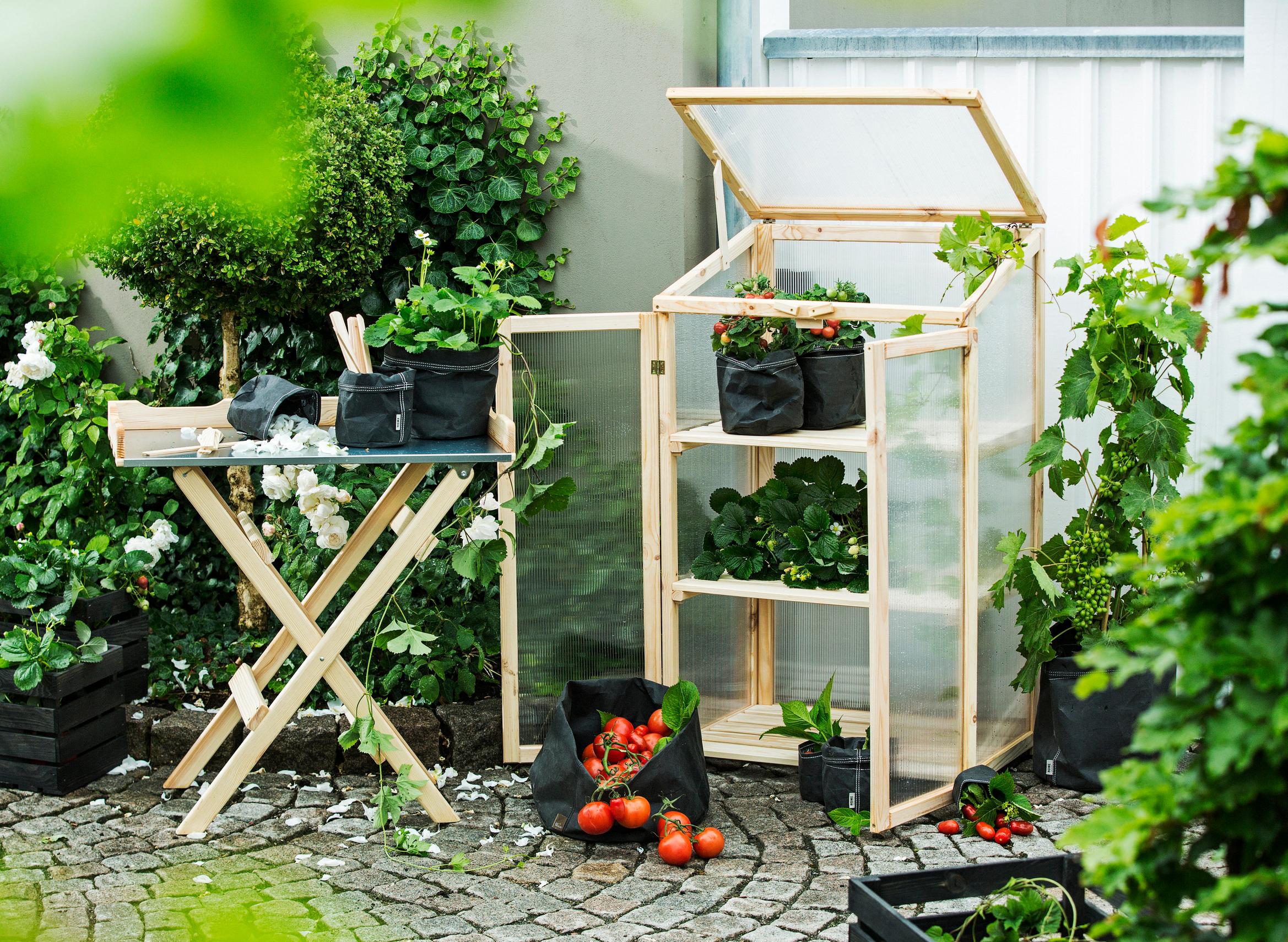 10 hauskaa ideaa koko perheen pihapuuhiin | Kotona