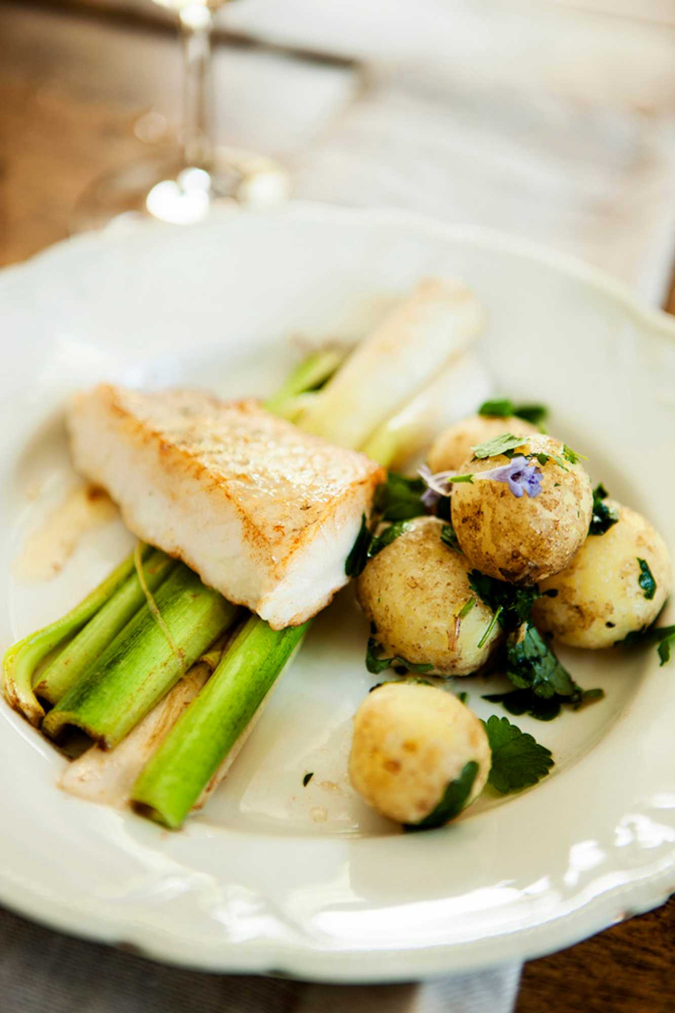 Paistettu kuhafile ja osmankäämiä – katso resepti! | Meillä kotona