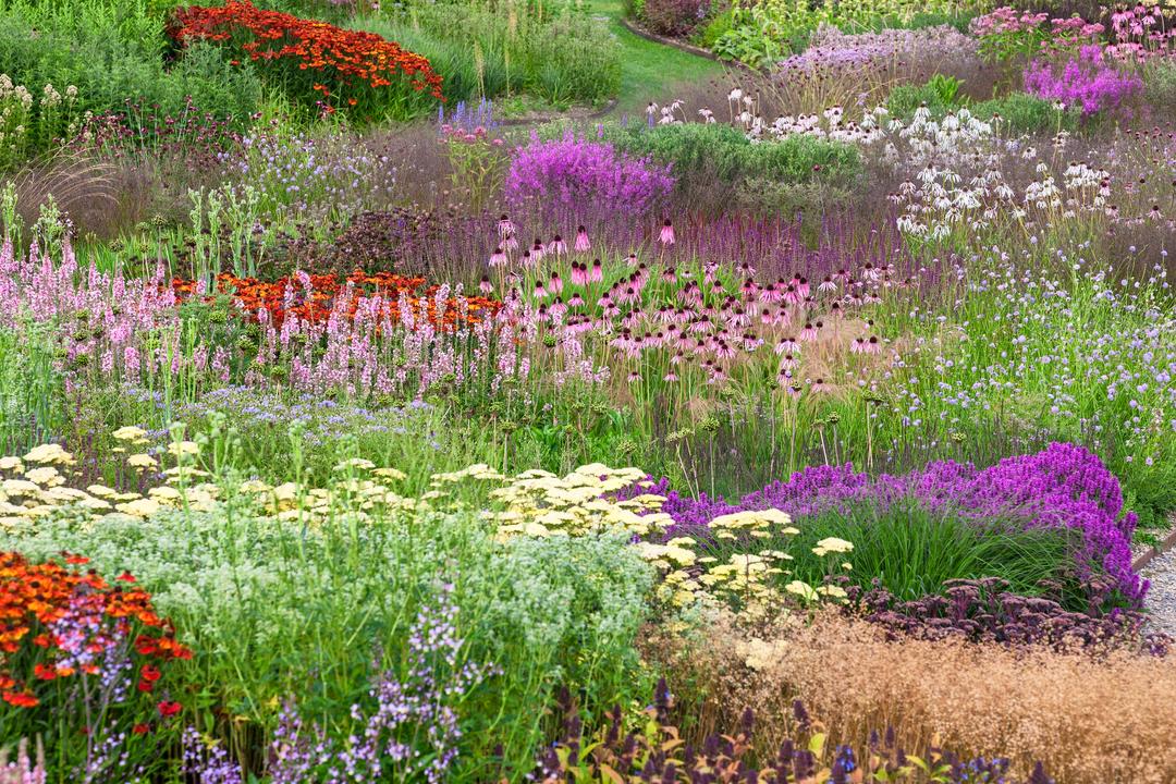 Dynaamiset istutukset – perennapenkki kuin villi niitty | Meillä kotona