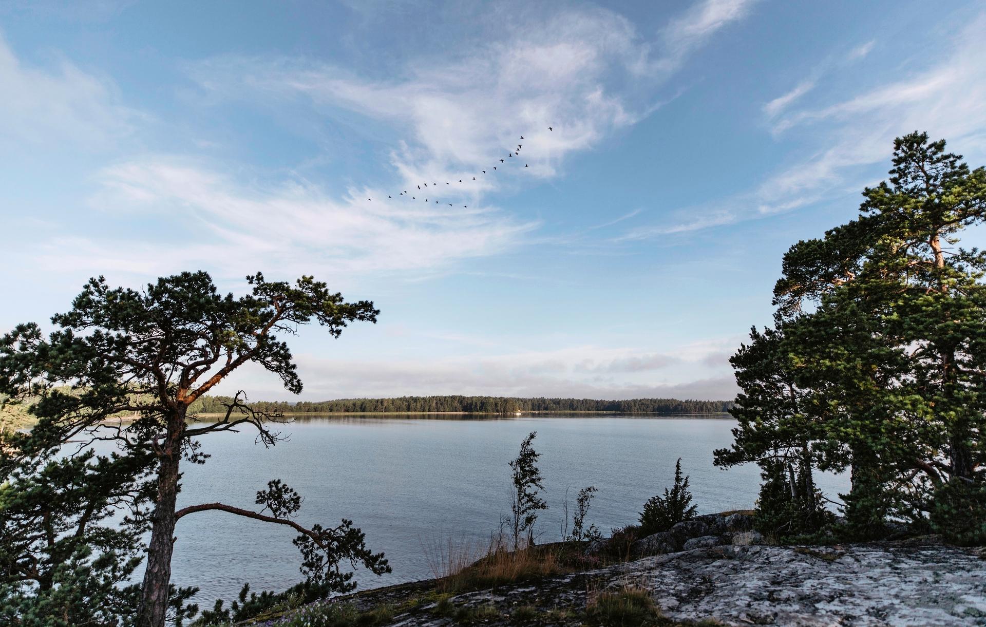 Suomen luonto- ja retkeilykohteet – 33 ideaa | Kotivinkki