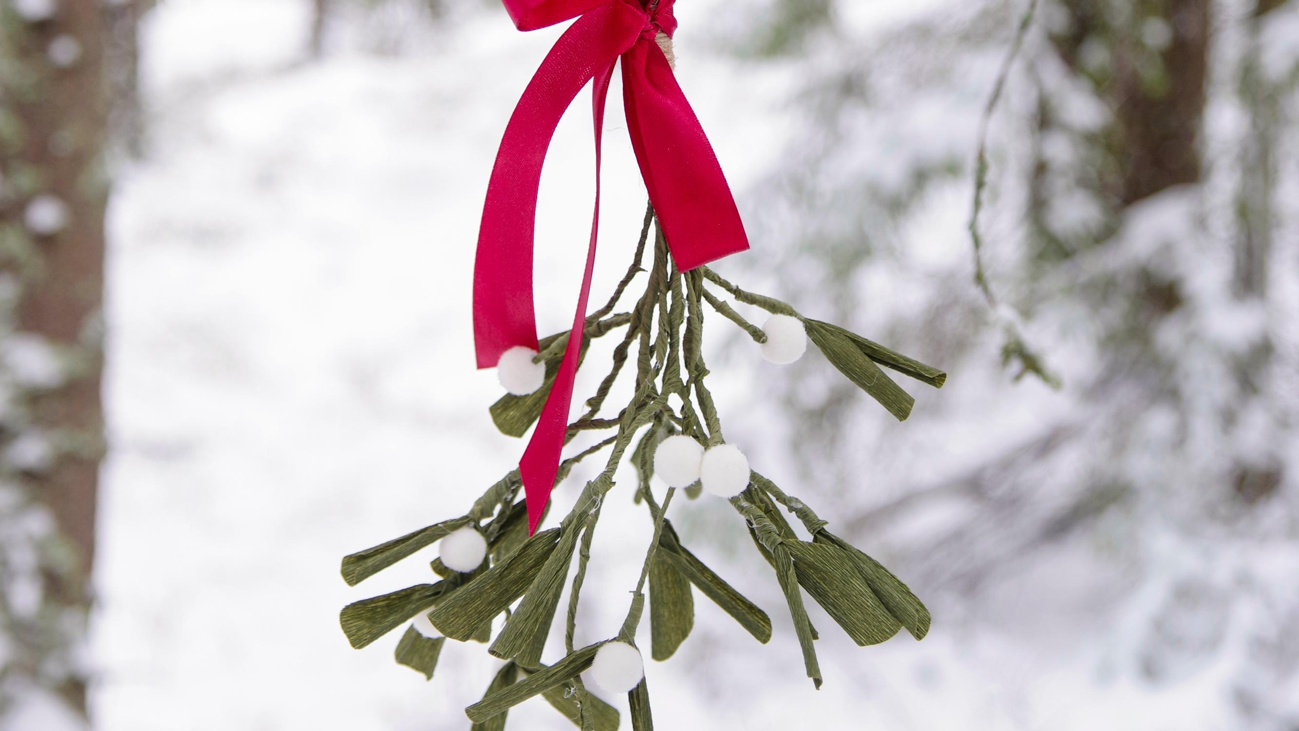 Paperinen misteli – katso ohje! | Ihana