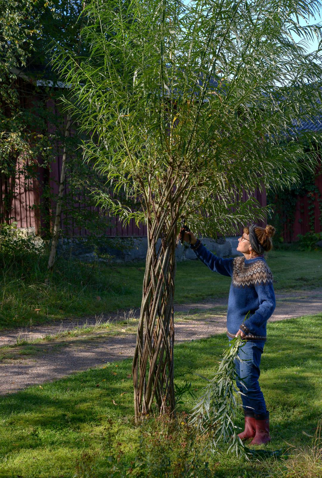 Pajutyöt – edullisia, kauniita ja ekologisia | Viherpiha