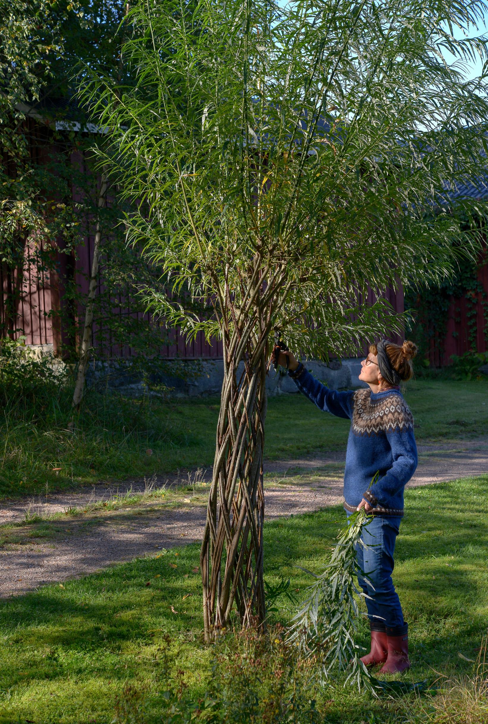Pajutyöt – edullisia, kauniita ja ekologisia | Viherpiha