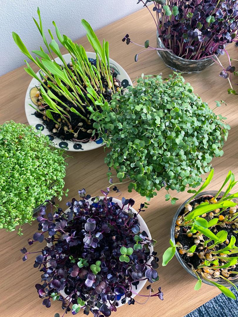 Rairuohon vaihtoehdot | Meillä kotona