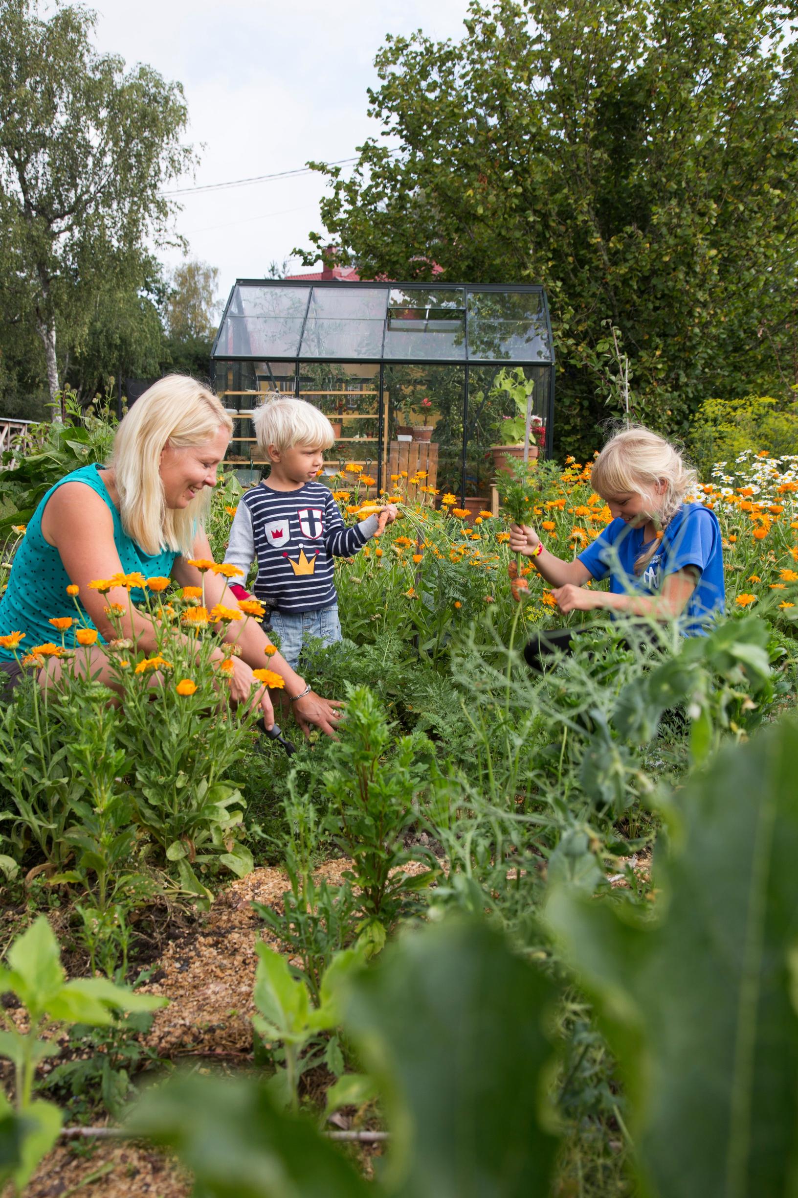 Kukkiva, potager-tyylinen kasvimaa | Viherpiha