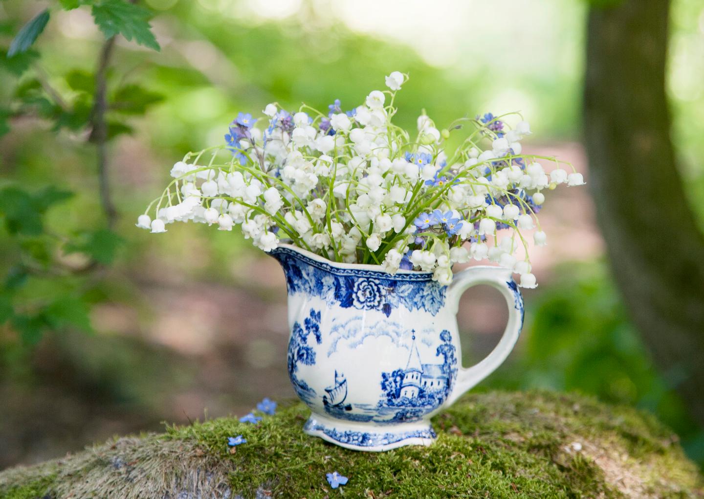 Kielo tuo kesän tuoksun kotiin | Meillä kotona