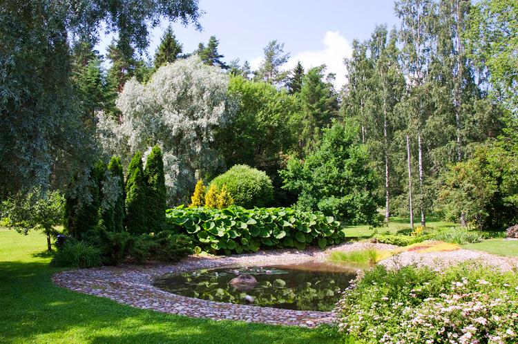 Puutarhan kauniit puut: katso ideat! | Meillä kotona