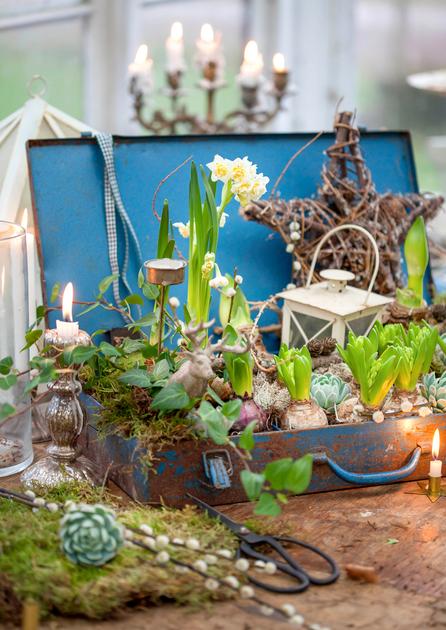 11 x kaunis joulukukka-asetelma – katso ideat! | Meillä kotona