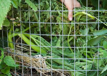 Komposti – vinkit käyttöön ja hoitoon | Meillä kotona