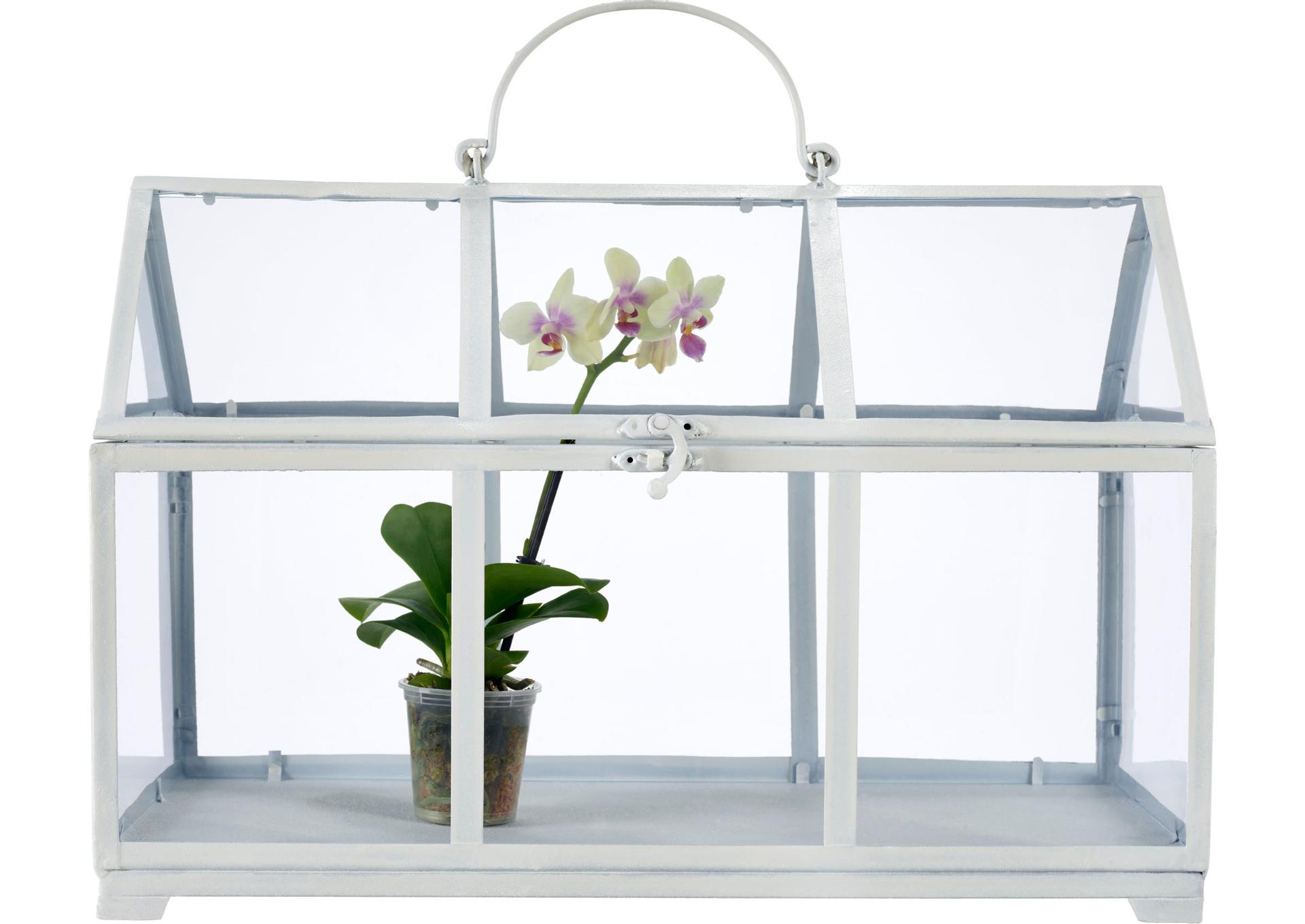 9 x minikasvihuone parvekkeelle | Avotakka