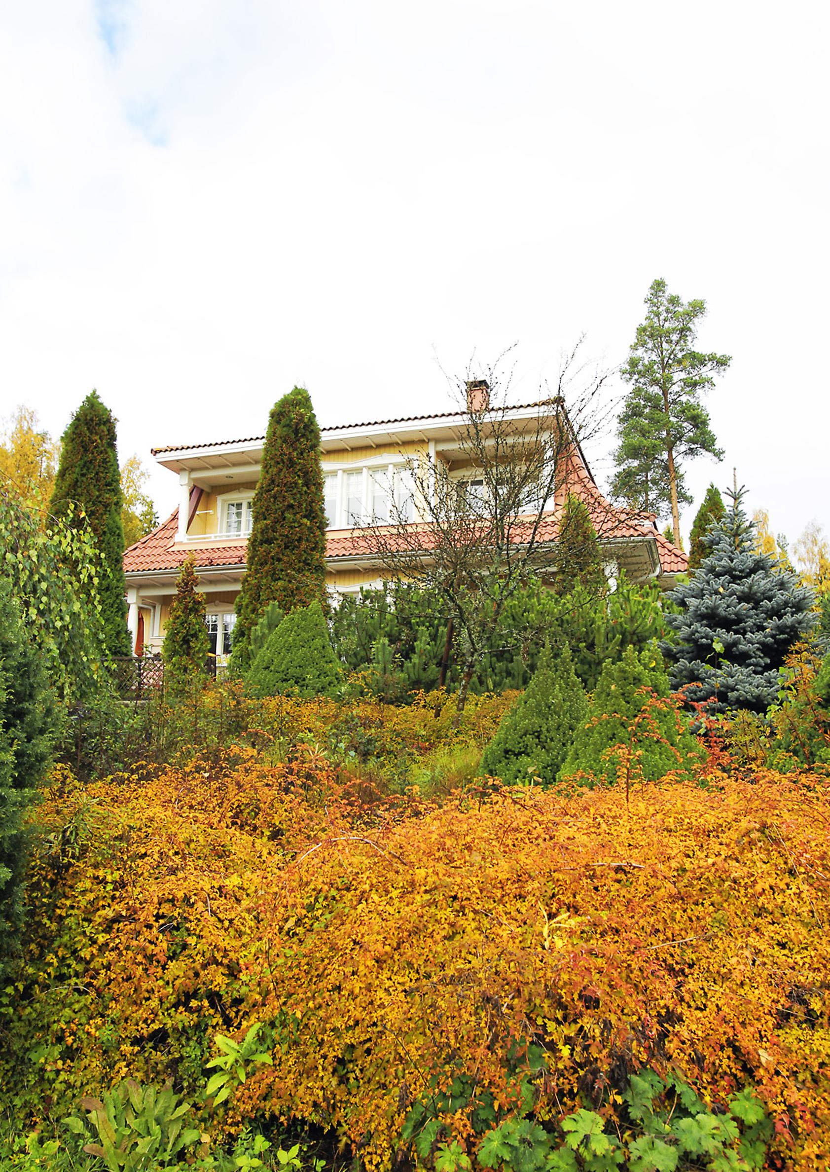 Ruskakasvit syyspuutarhassa – 15 kasvia | Viherpiha