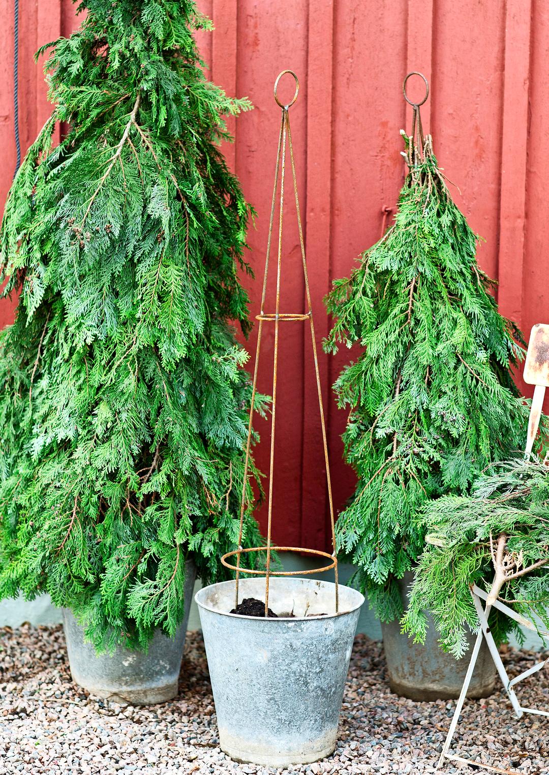 Rakenna joulupuu oksista | Viherpiha