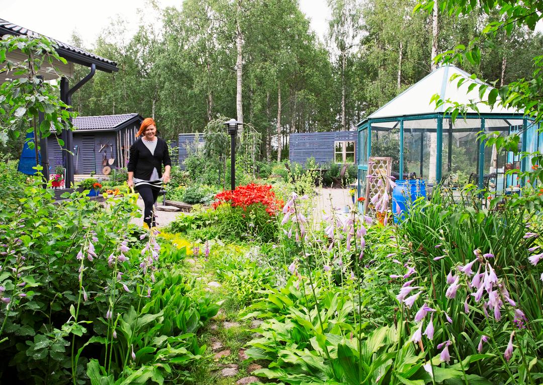 Puutarha kukkii ja tuottaa satoa Rovaniemellä | Meillä kotona