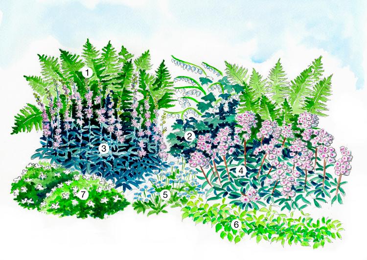 Istutussuunnitelma: romantikon perennapenkki | Viherpiha