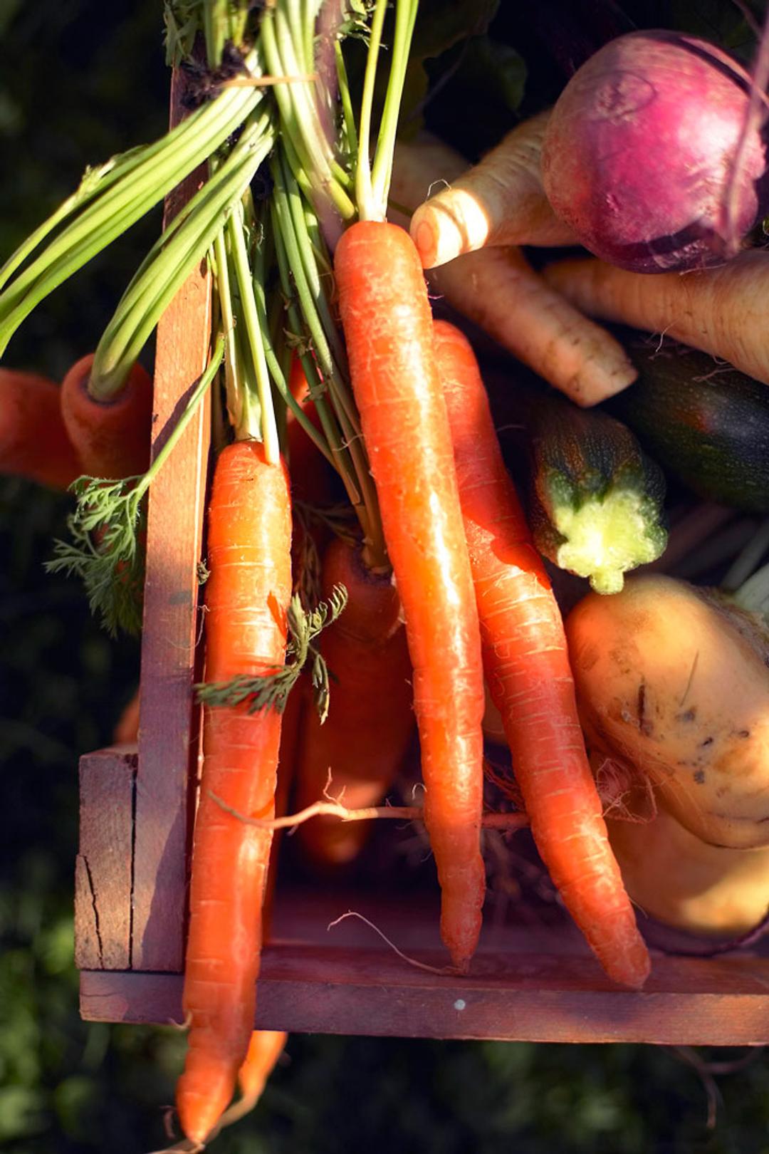 Kivikovat juurekset | Meillä kotona