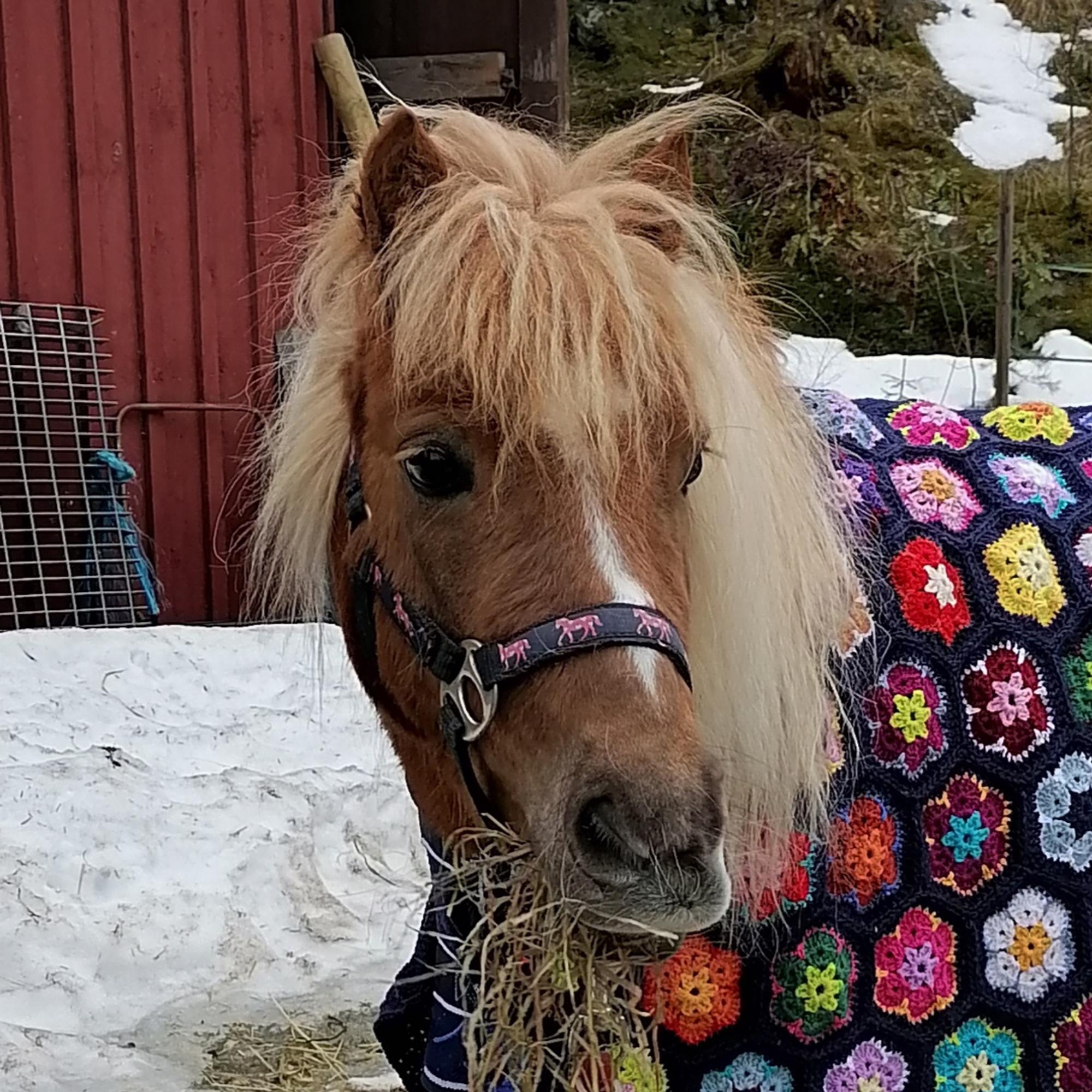 Virkattu loimi ponille | Meillä kotona