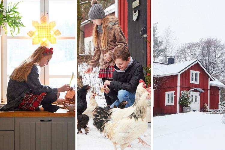 Fanni Sundellin 1800-lun hirsitalo jouluna | Kaikkien aikojen Joulu